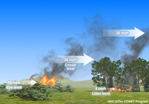 Firefighter Math: 8.2 Midflame Windspeed | NWCG